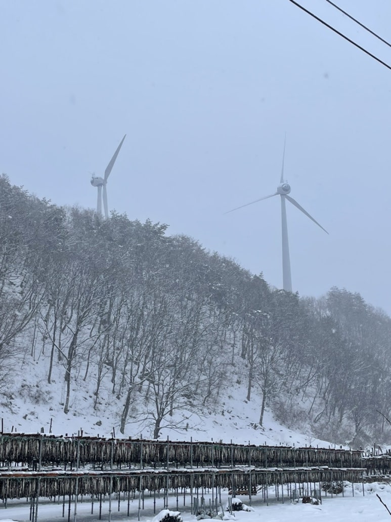 (인제 여행) 지난겨울 인제 가족여행 / 인제 맑은물리조트 : 네이버 블로그