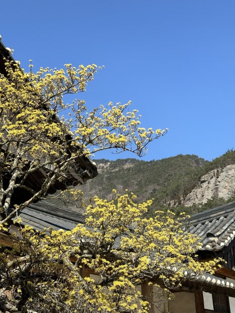 내변산 100대 명산 전북편 변산반도 내변산 직소폭포~내소사 등산 코스 후기 등산 지도 주차장 정보 소요시간 인증