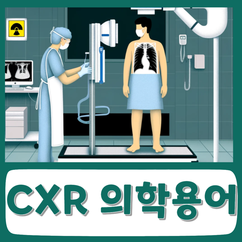 CXR 의학용어 적용 질환 주의사항 부작용 : 네이버 블로그