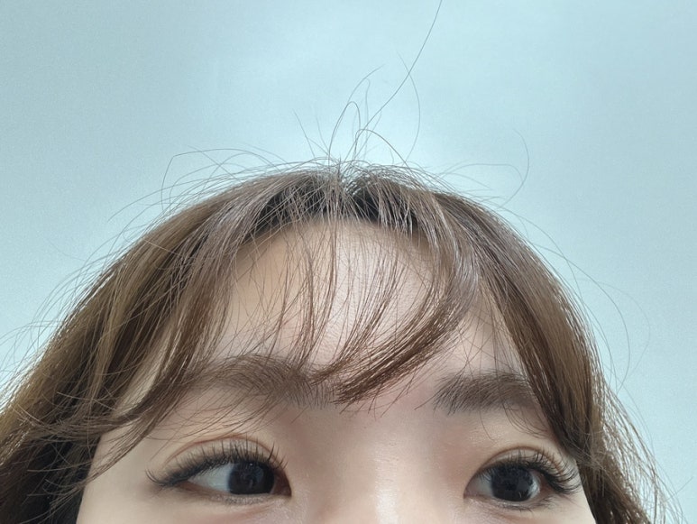 첫눈속눈썹연장 원주 단구동 자연스러운 시술 후기 : 네이버 블로그