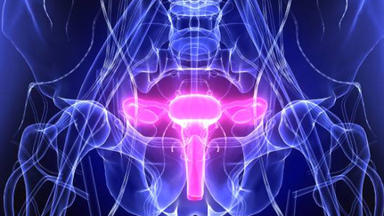 자궁 내경관 용종[endocervical polyp] : 네이버 블로그