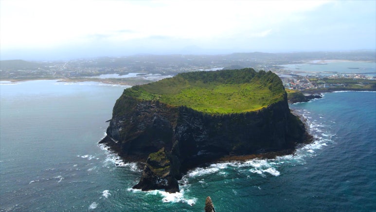 허니제주여행사 공지사항 Honeyjejutour Notice