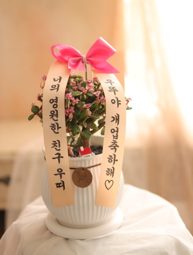 반포 꽃집 서초 꽃배달 미니 벚꽃 구경 고급 조약돌 화분에 기쁜소식 꽃말 식물 종류 선물용 추천 라포레드희 네이버 블로그