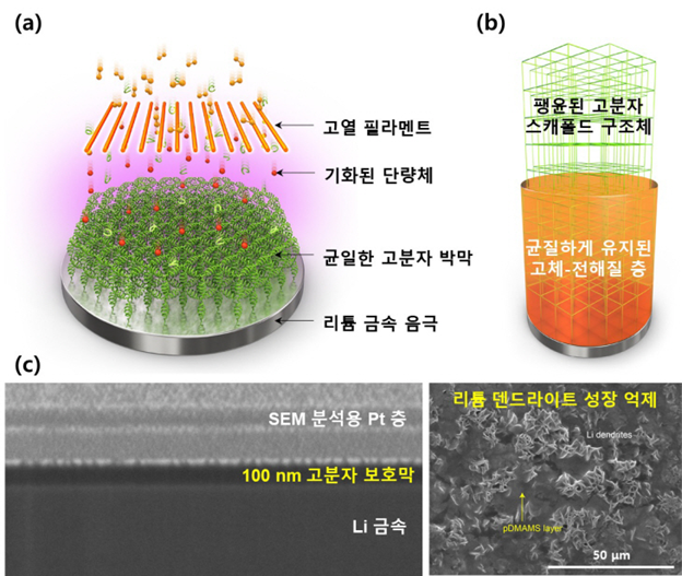 덴트라이트 현상 억제기술리튬이온전지리튬메탈전지쇼트열폭주구리 단결정 호일전기화학적 표면처리고분자 코팅 삼차원 절연