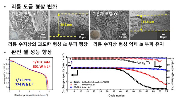 덴트라이트 현상 억제기술리튬이온전지리튬메탈전지쇼트열폭주구리 단결정 호일전기화학적 표면처리고분자 코팅 삼차원 절연