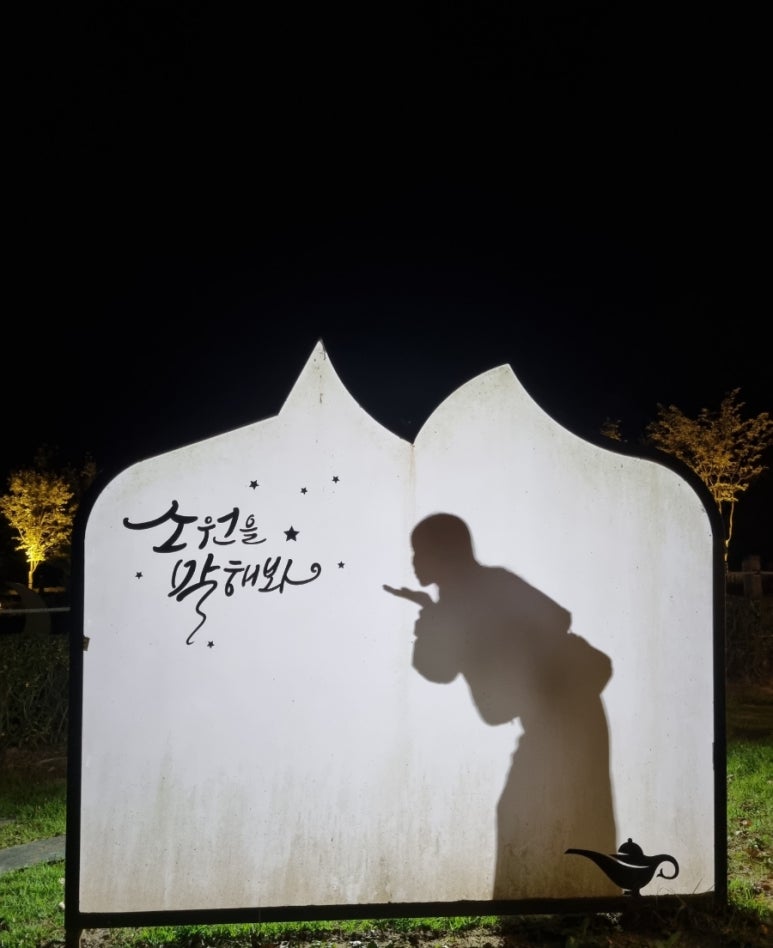 전북 진안 마이산 음식문화거리 야경 : 네이버 블로그