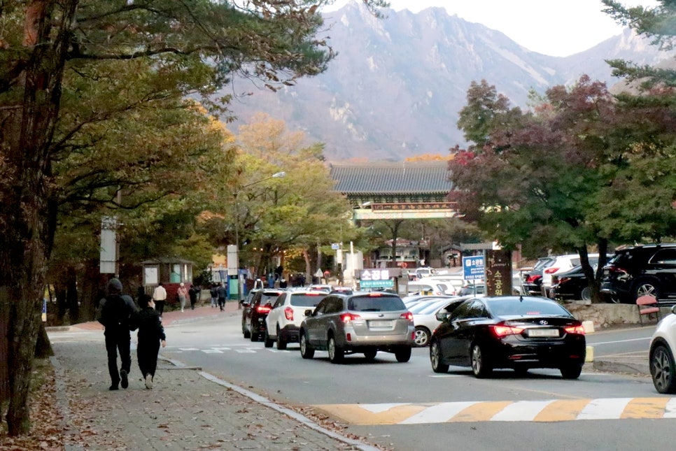 속초 설악산 케이블카 단풍 시기 가족 여행 속초 먹거리 카페 : 네이버 블로그
