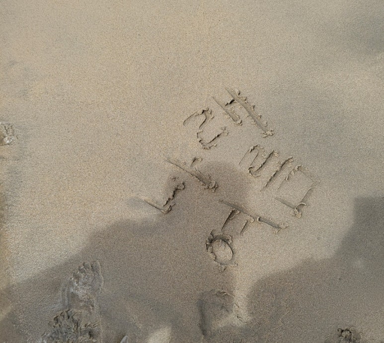 7월의 나트랑 여행 ep.3🇻🇳💙 : 네이버 블로그