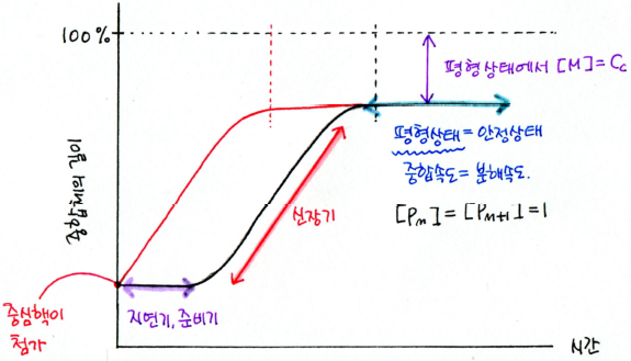 세포학 02 세포소기관의 구조와 기능 정리단백질 합성 변형 이동 03 세포간 연접 네이버 블로그