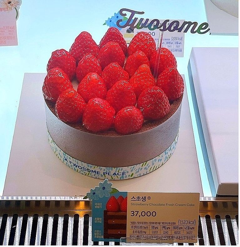 투썸플레이스 케이크 메뉴 가격 크리스마스 케익 종류 : 네이버 블로그