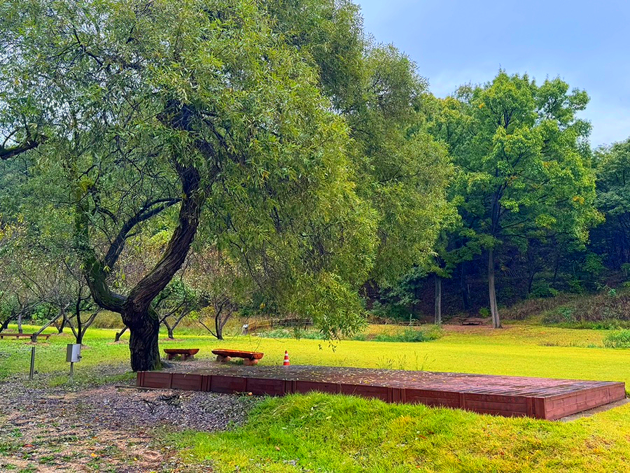 대전 가볼만한곳 숙소 국립대전숲체원 유아숲체험장 숲속놀이터 숲캉스 산책로 : 네이버 블로그
