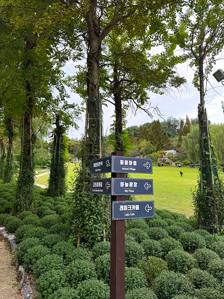 아산 피나클랜드 수목원 입장료, 가는 길, 볼거리 총정리! : 네이버 블로그