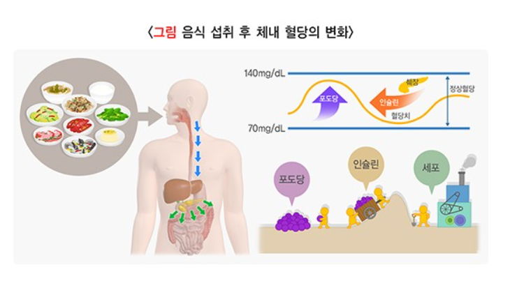 식후 1시간 혈당수치 당뇨 공복혈당 정상수치 원한다면 필수 네이버 블로그