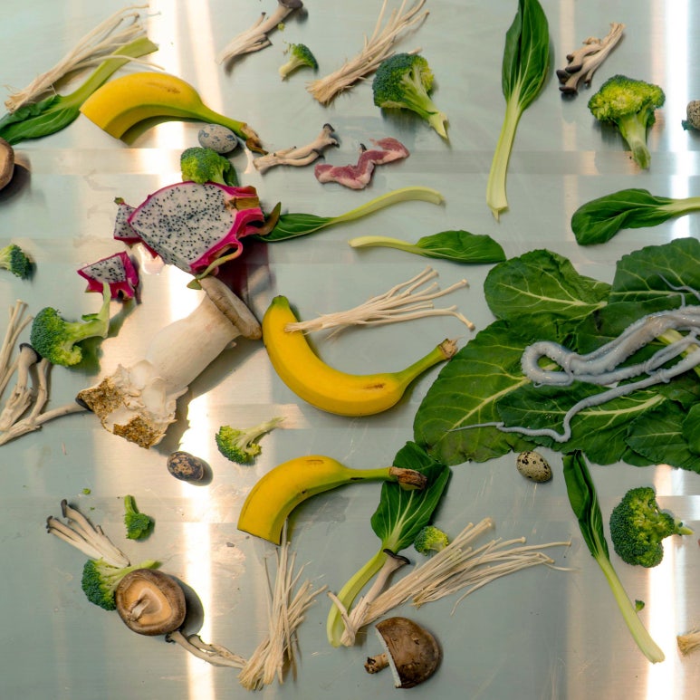 [2024 PAL WORKSHOP] 식물을 매체로 한 바이오아트(BIO-ART) 워크숍 / 아티스트 : 이소요 : 네이버 블로그