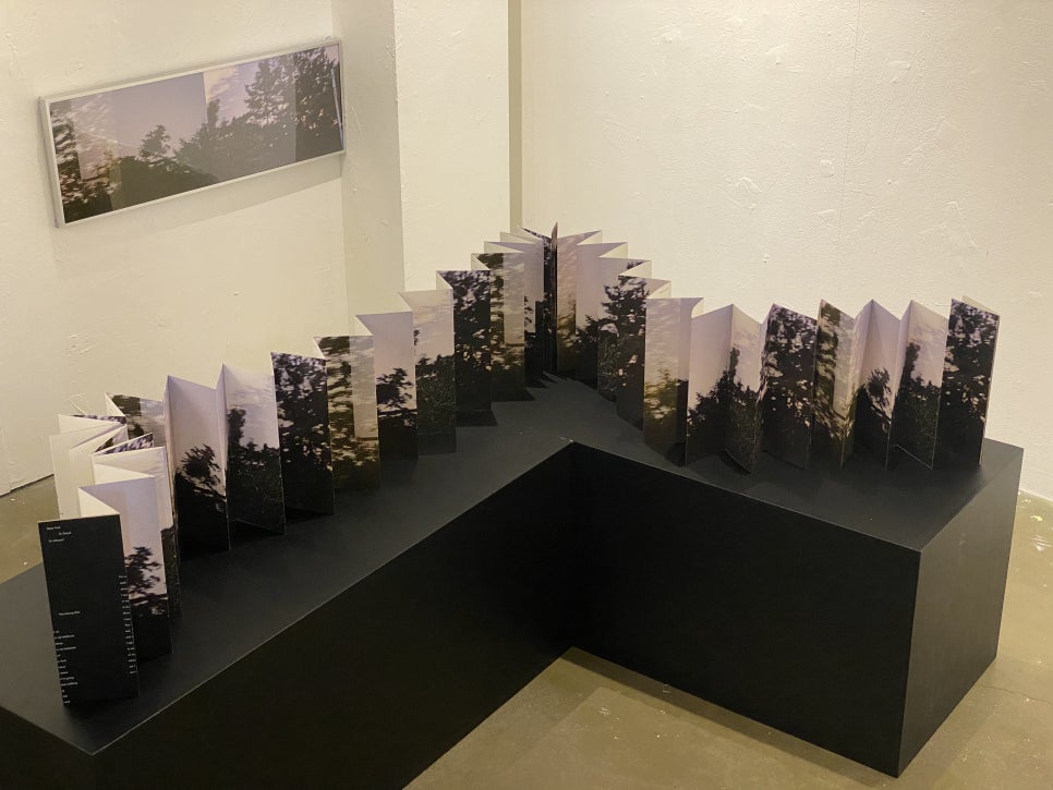 《Book As Place : Ongoing》 장소의 책 : 나아가기, 손현경 개인전 @ B Platform : 네이버 블로그