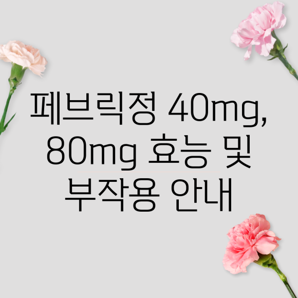 페브릭정 40mg, 80mg 효능 및 부작용 안내 : 네이버 블로그