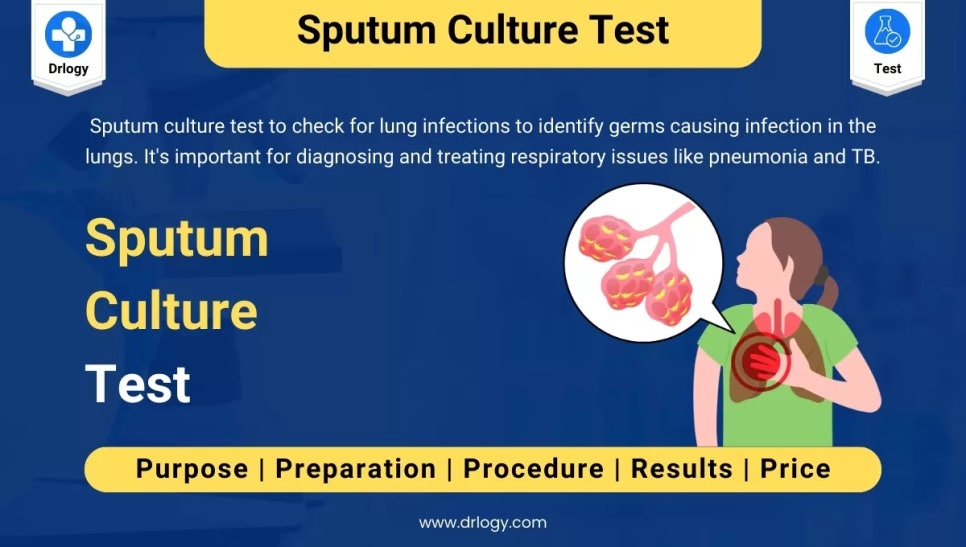 Sputum culture 객담배양검사 방법 specimen trap 사용법 폐렴원인균 결핵균 진균검사 결과해석(R/S/I ...
