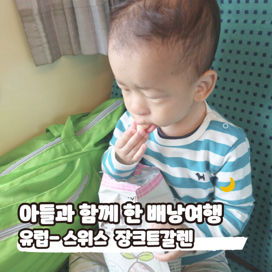 아들과 떠난 유럽 배낭여행-장크트갈렌 St. Gallen : 네이버 블로그