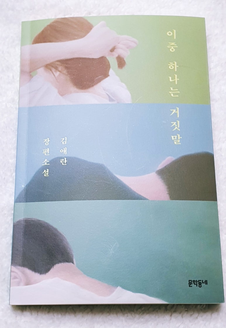 이중 하나는 거짓말청소년 위로 책수능 끝나고 여유로운 시간에 필독서로 추천 네이버 블로그