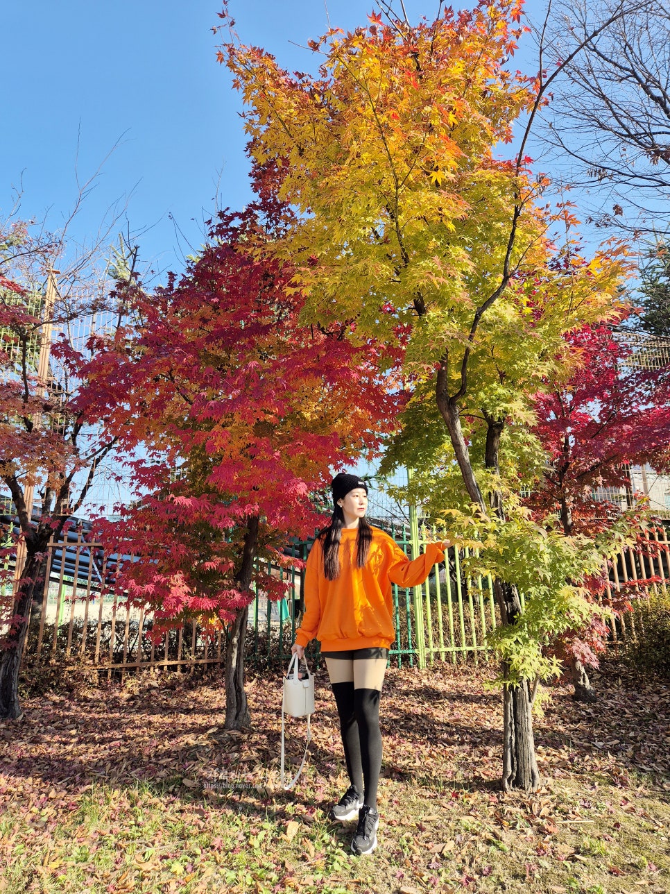 겨울코디 기모맨투맨 데일리룩 추천! 맨투맨코디 쉬워요 : 네이버 블로그