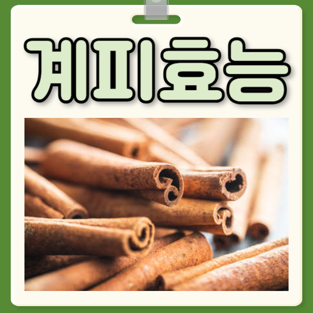 계피 효능 부작용 계피 가루 먹는 법 네이버 블로그