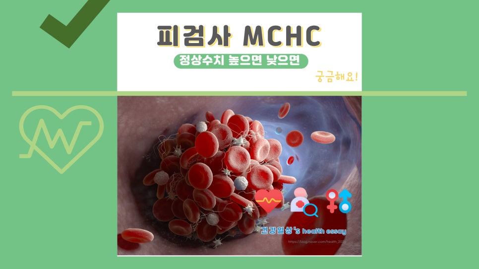 MCHC 혈액검사 피검사 정상 수치 / 수치 높으면? 낮으면? 빈혈 진단 방법 : 네이버 블로그