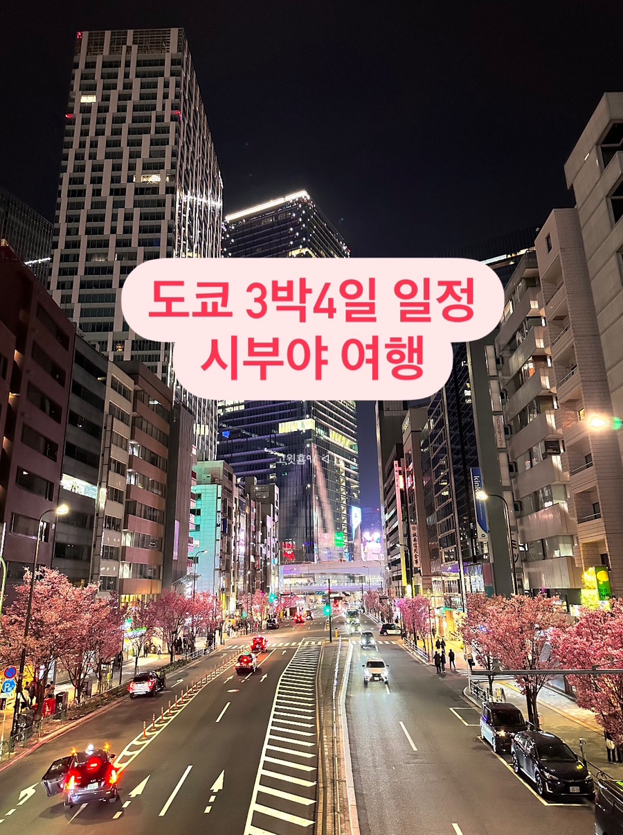 도쿄 여행 3박 4일 시부야 편 (요요기공원, 일본 벚꽃 개화 일정, 시부야 가챠샵, 시부야 포토이즘, 스크램블 교차로, 시부야 ...