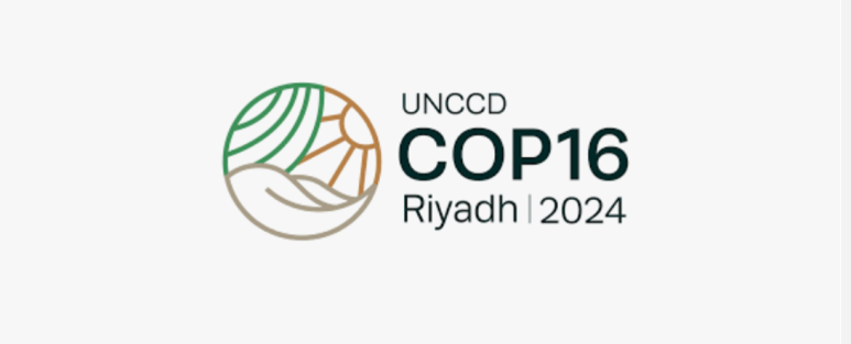 제 16차 유엔사막화방지협약(COP 16) : 네이버 블로그