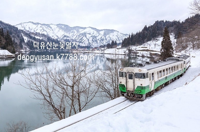 덕유산 눈꽃 기차여행 [무주 덕유산 케이블카 · 곤돌라] 국내 겨울 당일치기 코레일 눈꽃열차 (feat. KTX 등산코스) : 네이버 블로그