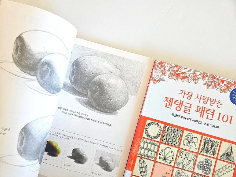 그림그리기 책으로 배우는 초등 미술도서 3권 기초 데생과 젠탱글 패턴 101개 네이버 블로그
