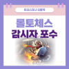 롤체 감시자 포수 트리스타나 리롤덱 네이버 블로그