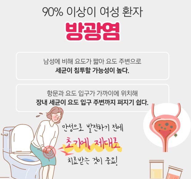 여성비뇨기 배뇨장애 질환질염과 여성질환의 증상 방광염 원인 치료 만성방광염의 증상 재발이 잦은 방광염 종류와 예방은