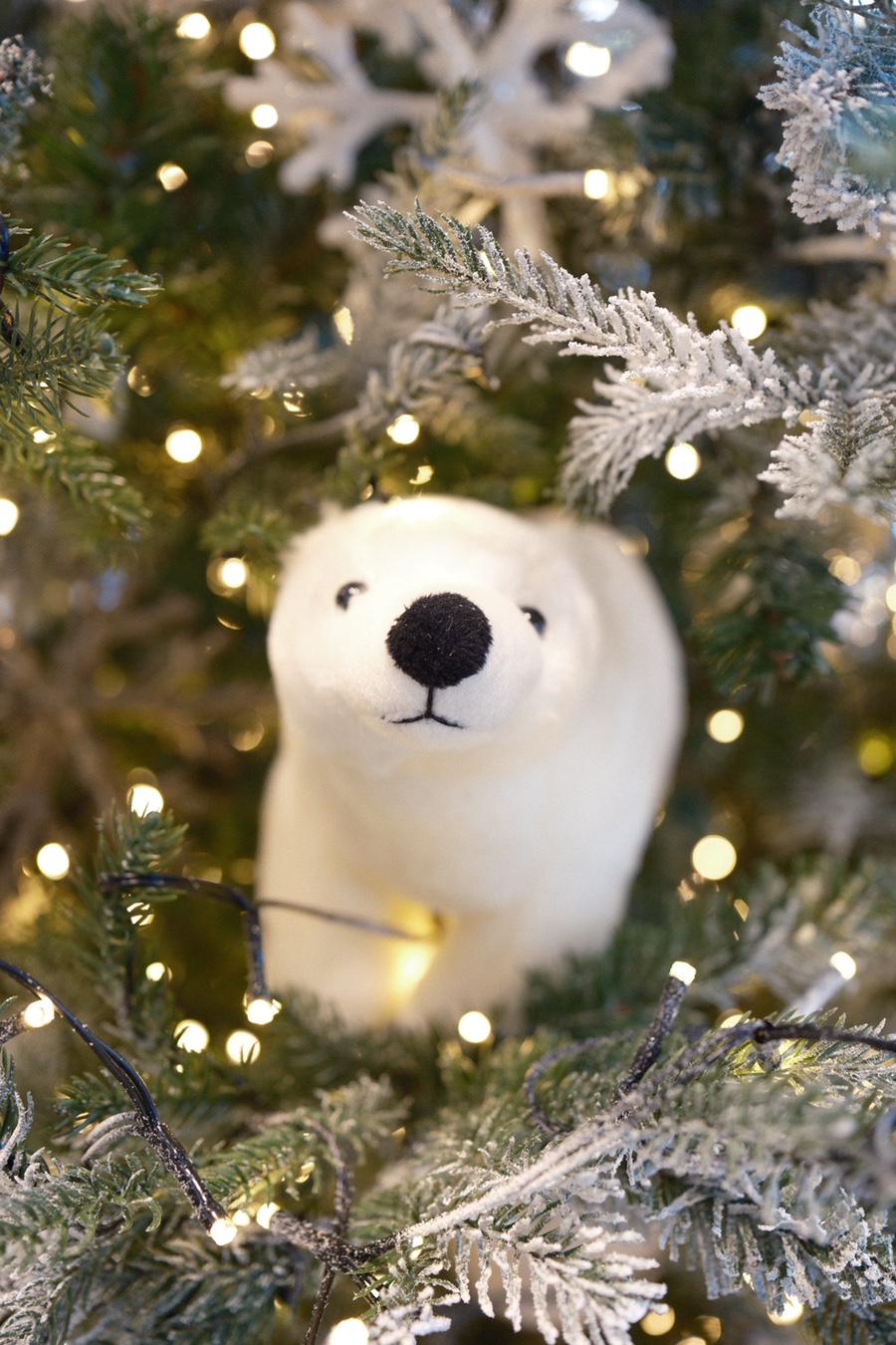 후지필름 X-T5 | 콘탁스 Carl Zeiss Sonnar 90mm F2.8 | xf23mm f1.4 | 투썸플레이스 서대문 ...