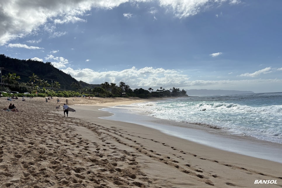 [여행:하와이] 선셋 비치 (Sunset Beach) : 네이버 블로그