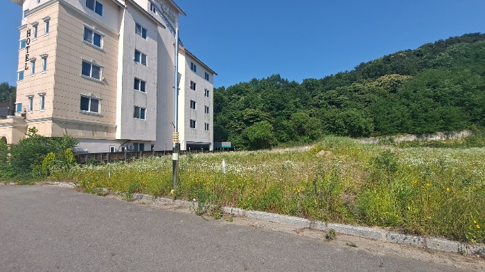 충청남도 천안시 동남구 목천읍 운전리 579/충남 천안시 동남구 천안 토지(대지)경매 물건 2024타경3083 : 네이버 블로그