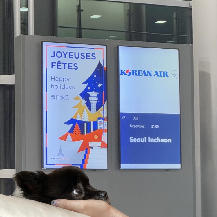 대항항공 KE902 파리 샤를드골 공항에서 인천공항 탑승 후기(B777-300ER 항공기 53열 맨뒷좌석) : 네이버 블로그