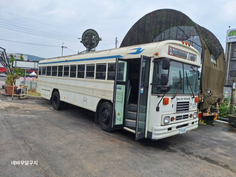 미군 버스 블루버드 : 네이버 블로그