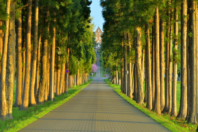 수도원 가는 길 : 네이버 블로그