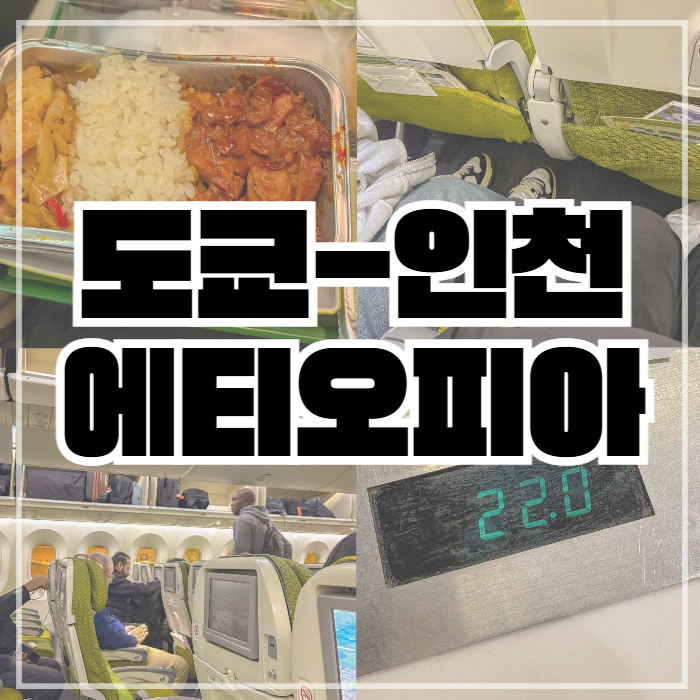 에티오피아항공 나리타공항 터미널 도쿄 인천 ET673 기내식 좌석 탑승 후기 : 네이버 블로그