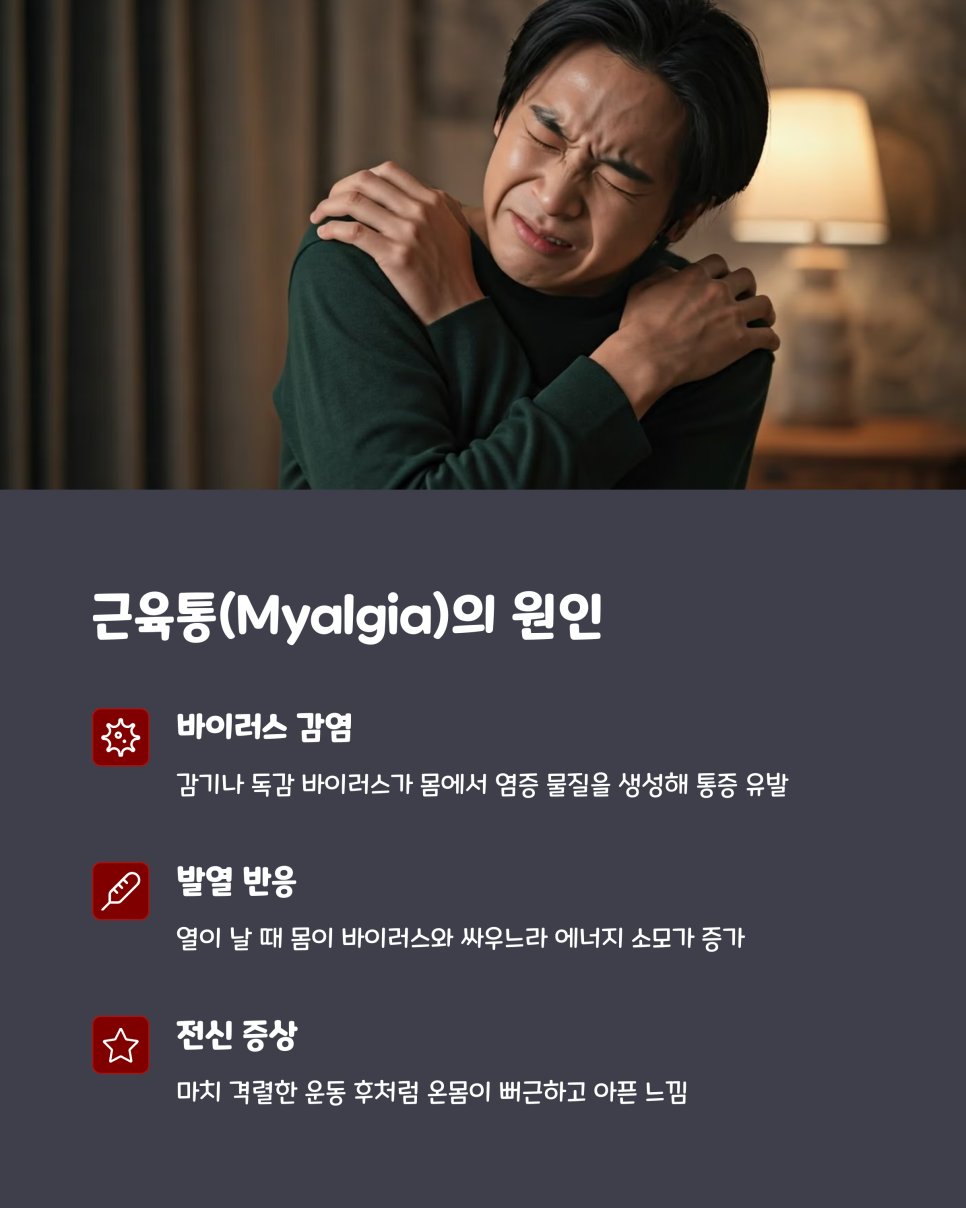 으슬으슬 몸살감기? 의학용어 myalgia, rhinorrhea 원인부터 대처법까지 알아봐요 : 네이버 블로그