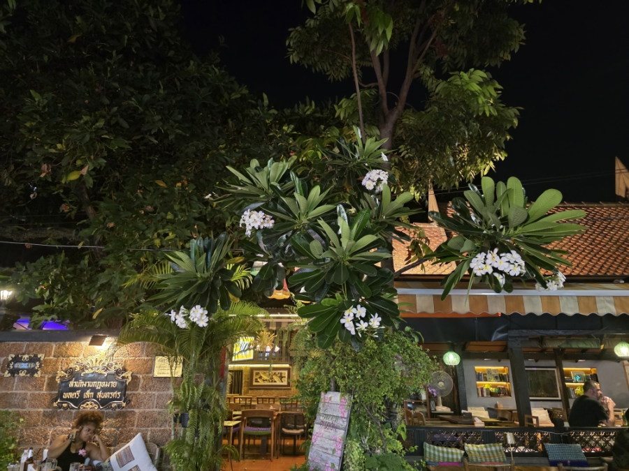 [방학동영어캠프]실전연습하는 방학 보내기 : 네이버 블로그