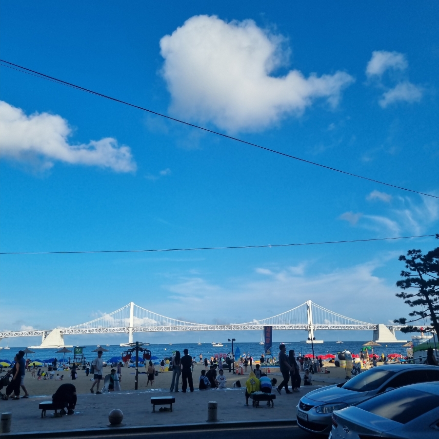 부산 당일치기 여행코스 추천⛵|부산역 광안리 해운대 요트투어까지 완벽한 하루 부산역 개미집 낙곱새 F1963 테라로사