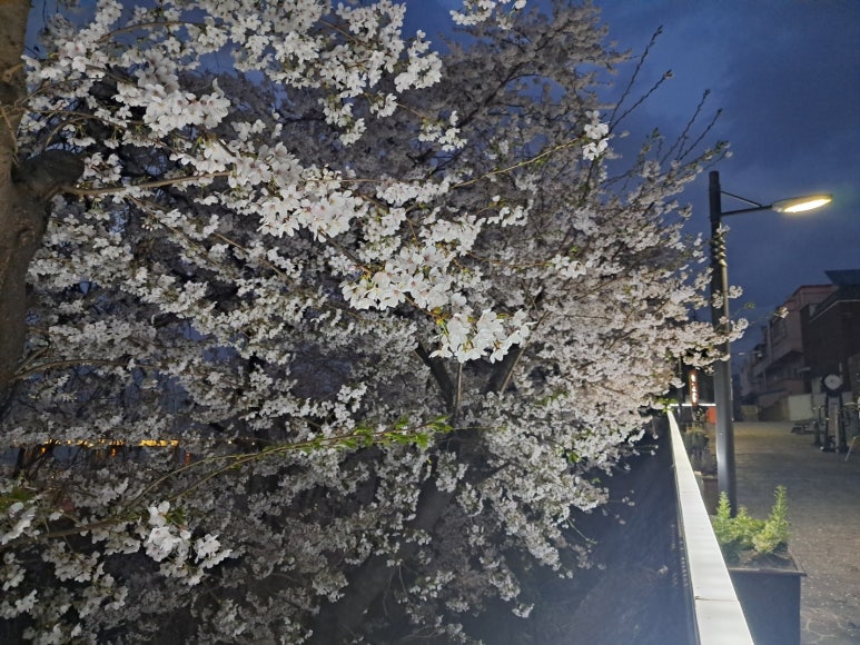 구포삼거리 보행육교 : 네이버 블로그