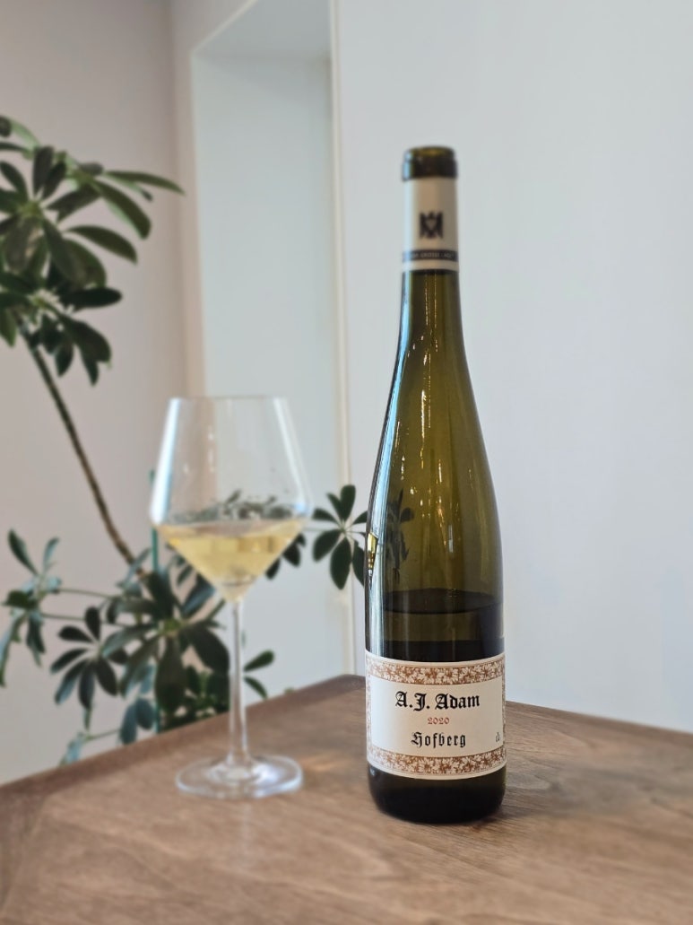 A. J. adam dhroner hofberg riseling trocken 2020 [A. J. 아담 드로너 호프베르크 ...