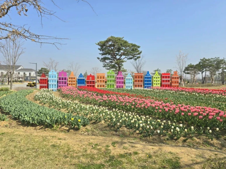 평택 가볼만한곳 평택시농업생태원 튤립 축제 네이버 블로그