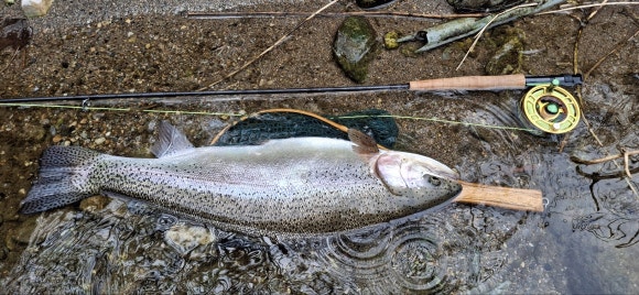 Last chance streamer - Spruce streamer fly hook~ : 네이버 블로그