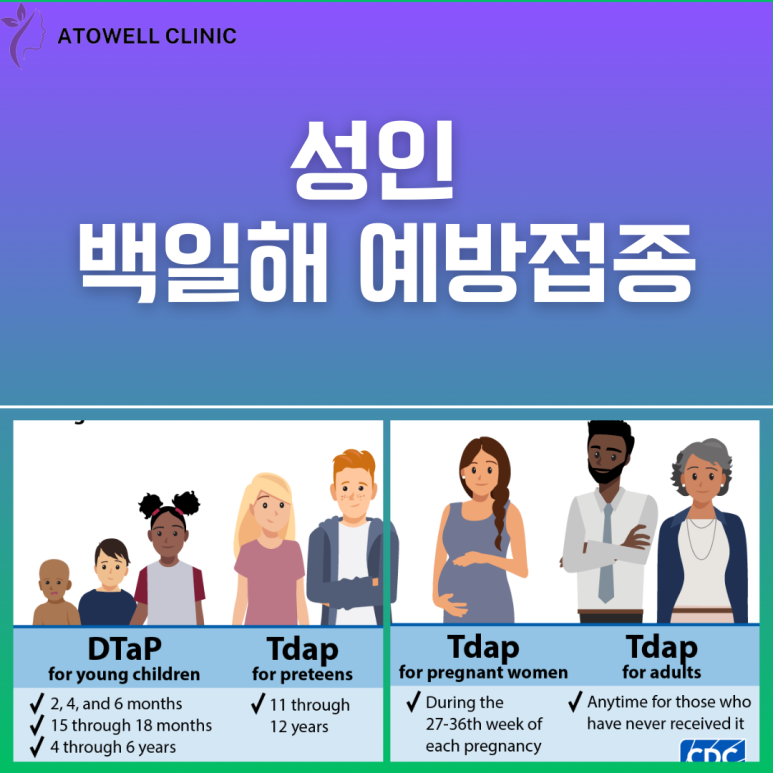 성인 백일해 예방접종tdap 백신 완벽 가이드 접종 시기·비용·주의사항 총정리ㅣ경주접종병원 네이버 블로그