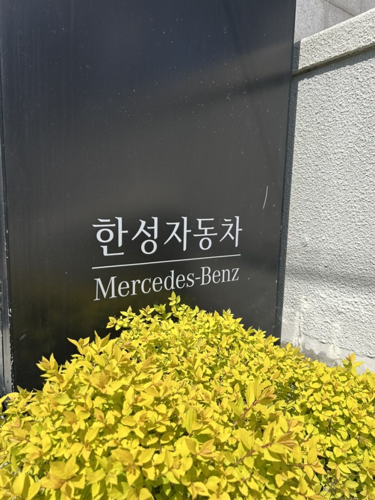 봄이다. 만나고 싶은 강의는? : 네이버 블로그