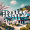 청와대 개방 예약 없이 관람 가능할까시간 주차장 입장료 네이버 블로그