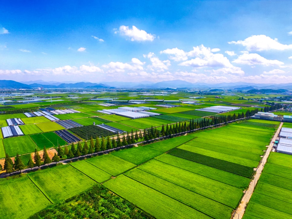 경남 가볼 만한 곳: 국내 1박 2일 여행지 추천 Best 5 : 네이버 블로그